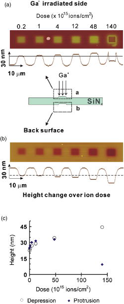 Focused ion beam induced deflections of freestanding thin films ...