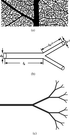The scaling laws of transport properties for fractal-like tree networks ...
