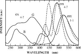 Mechanism of the persistent phosphorescence in Sr4Al14O25:Eu and ...