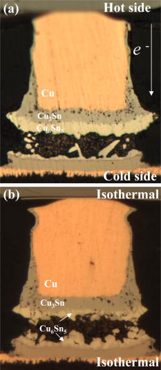 Electromigration in flip chip solder joints having a thick Cu column ...