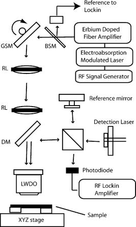 A frequency domain laser based ultrasonic system for time resolved ...