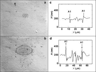 Ablative modification of graphite surfaces by single intense ...