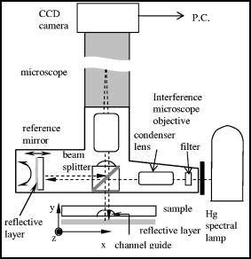 Surface expansion of channel waveguides formed by ion exchange in glass ...