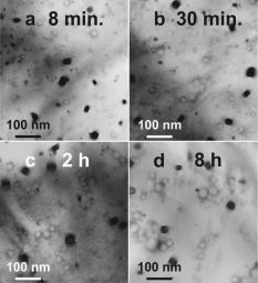 Ostwald ripening of interstitial-type dislocation loops in 4H-silicon ...