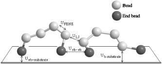 Functional perfluoropolyether spreading on a solid substrate | Journal ...