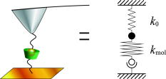Dynamic-force spectroscopy measurement with precise force control using ...