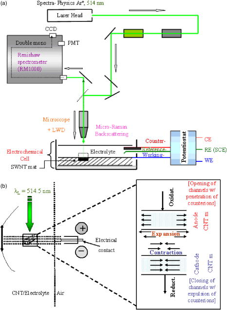Ion transport and electrochemical tuning of Fermi level in single-wall ...