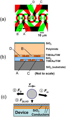 On-chip separation of magnetic particles with different magnetophoretic ...