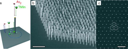 Surface diffusion effects on growth of nanowires by chemical beam ...