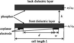 Numerical study on xenon positive column discharges of mercury-free ...