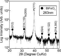 Structural, magnetic, and ferroelectric properties of multiferroic ...