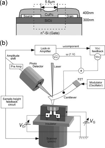 Visualization of induced charge in an organic thin-film transistor by ...