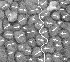 Perpendicular recording media for hard disk drives | Journal of Applied ...