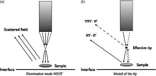Strong tip effects in near-field scanning optical tomography | Journal ...