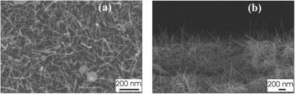 Simultaneous catalyst deposition and growth of aligned carbon nanotubes ...