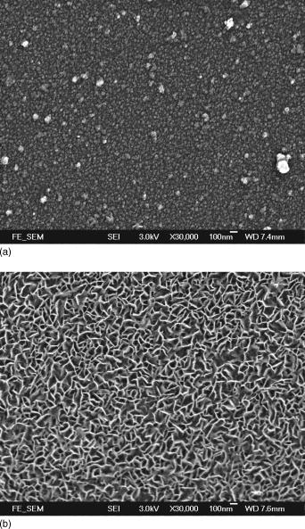 Temperature dependence of magnetoresistivity of cobalt ...