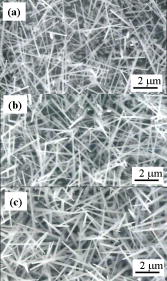 Raman and electron microscopic studies of Si1−xGex alloy nanowires ...