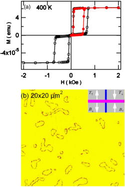Effect of cooling field on the antiferromagnetic interlayer coupling ...
