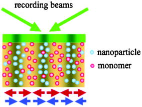 Three-dimensional confocal Raman imaging of volume holograms formed in ...