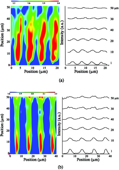 Three-dimensional confocal Raman imaging of volume holograms formed in ...