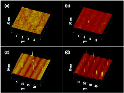 Three-dimensional confocal Raman imaging of volume holograms formed in ...