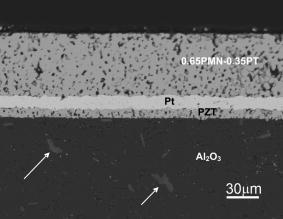 The electrostrictive effect in ferroelectric 0.65Pb(Mg1/3Nb2/3)O3–0 ...