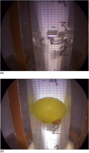 Stray-field nuclear magnetic resonance imaging in microgravity ...