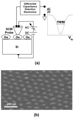 Scanning capacitance microscopy detection of charge trapping in free ...