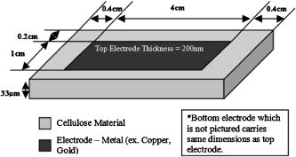 Simulation studies of internal mechanisms in the static deflection of a ...