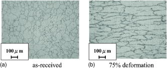 Microstructure and magnetic variations induced by plastic deformation ...