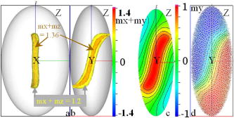 Formation and transformation of vortex structures in soft ferromagnetic ...