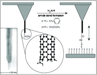 Buckling analysis of carbon nanotubes modeled using nonlocal continuum theories | Journal of ...