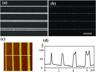 Morphological instability of Cu nanolines induced by Ga+-ion ...