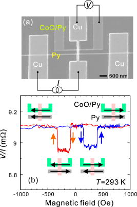 Local domain structure of exchange-coupled NiFe∕CoO nanowire probed by ...