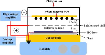 Alignment of cellulose chains of regenerated cellulose by corona poling ...