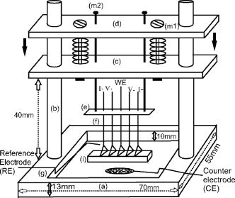 Surface charge induced variation in the electrical conductivity of ...