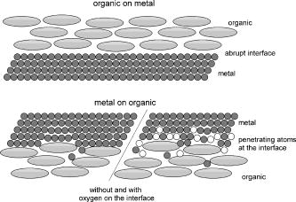 Self-doping and partial oxidation of metal-on-organic interfaces for ...