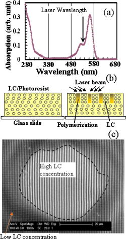 Holographic fabrication of photonic crystals using multidimensional ...