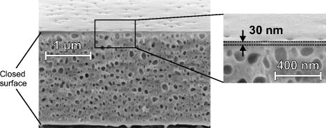 Light scattering and diffuse light propagation in sintered porous ...