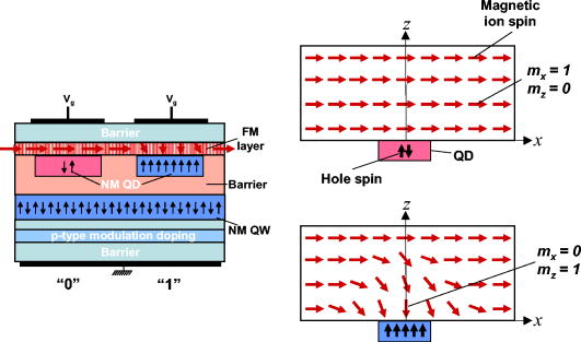 Magnetic polaron for a spin memory application | Journal of Applied ...