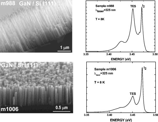 Time-resolved spectroscopy on GaN nanocolumns grown by plasma assisted ...