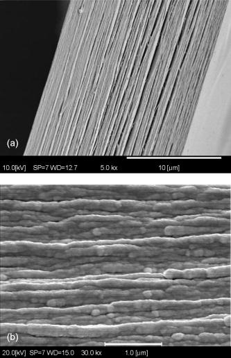 Modeling of electromechanical behavior of chitosan-blended cellulose ...
