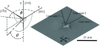 Spatially and tensor-resolved Raman analysis for the determination of ...