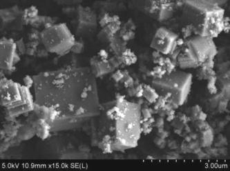 Decay kinetics of luminescence and electron emission from MgO crystal ...