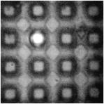 Optically pumped lasing from a single pillar microcavity with InGaAs ...
