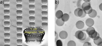 Ferromagnetic microdisks as carriers for biomedical applications ...