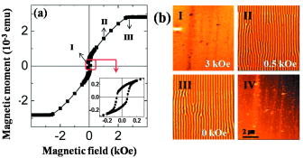 Spin wave quantization in continuous film with stripe domains | Journal ...