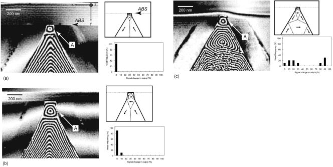 Electron holography observation of in-plane domain structure in writer ...