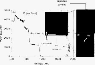 Self-assembled Au nanoparticles in SiO2 by ion implantation and wet ...
