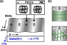 Surface structure and magnetic properties of MnAs epilayers grown on ...